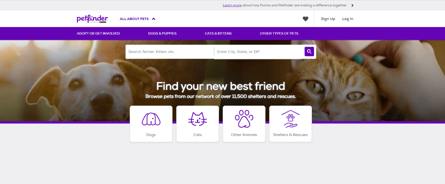 Top 5 Best Free Pet Classified Sites for 2025 - Blog