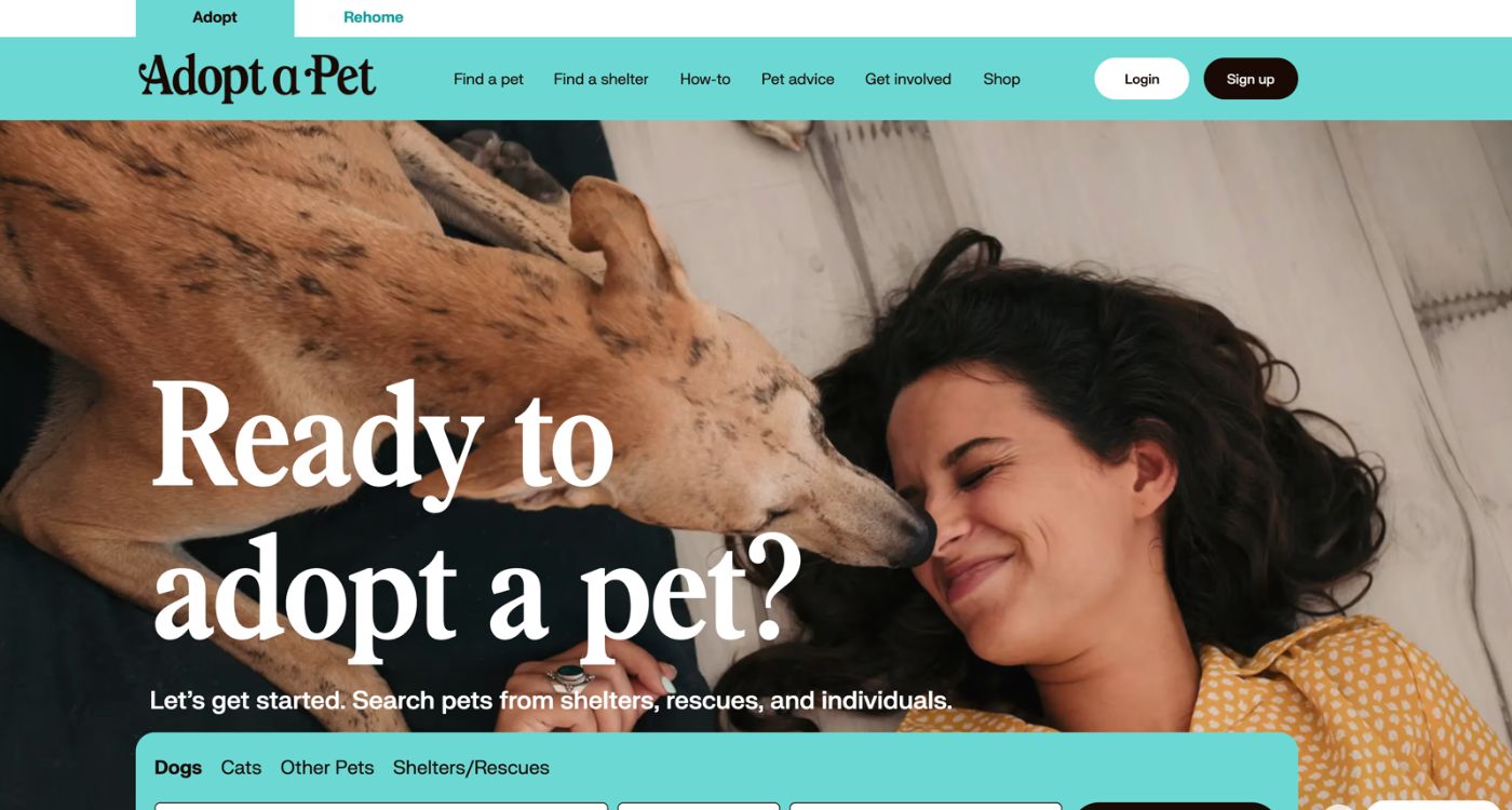 Top 5 Pet Directory Websites Every Pet Lover Should Know
