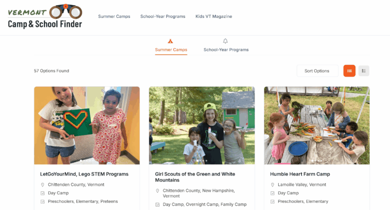 10 Real Directory Website Examples Built With Directorist